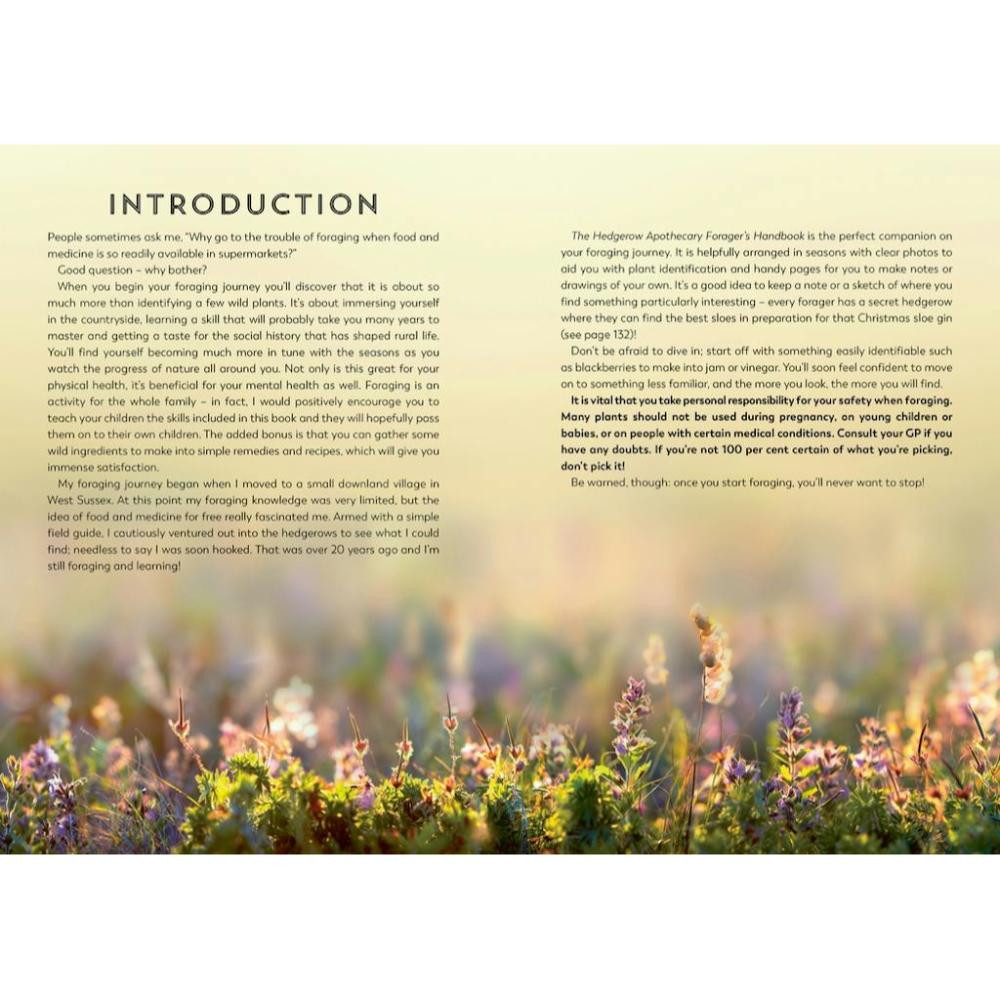 Book - The Hedgerow Apothecary Foragers Handbook - Uncle Festers