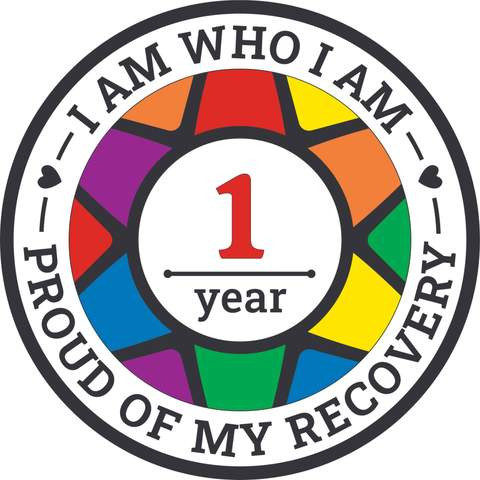AA or NA Recovery Pride Medallion - Doing It Sober