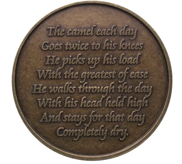 Easy Does It 24 hrs Camel AA Token Bronze Medallion- DoingItSober