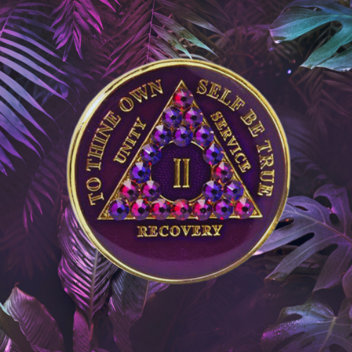 Buy Triplate Black & Volcano AA Anniversary Coin Online