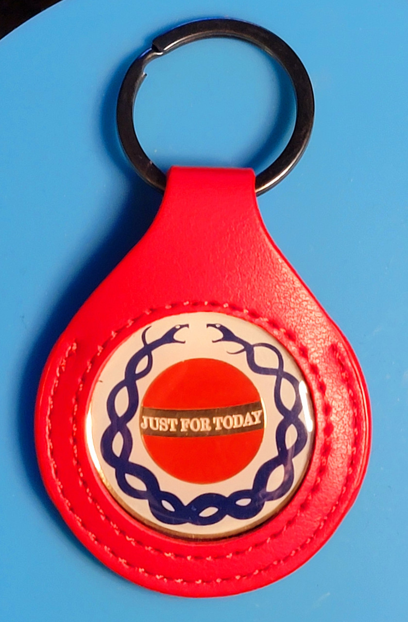 Red Medallion Holder Keychain- Doing It Sober
