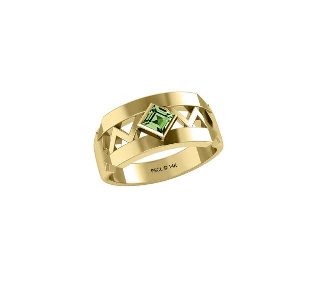 NA Recovery Symbol 14k Gold with Inlay - Doing It Sober