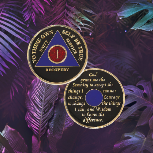 AA Purple Medallion (Yrs 1-50) Anniversary Coin - Doing It Sober