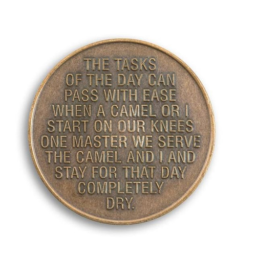 BSP Camel AA Token Bronze Medallion - Doing It Sober