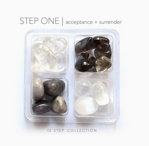 12 Step Crystal Boxed Set Assortment Set - Doing It Sober