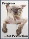 Progress Not Perfection, Cat Recovery Greeting Card- DoingItSober