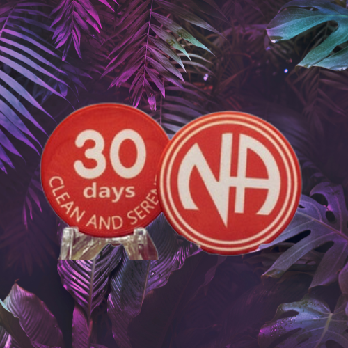 NA 30, 60, 90, 6 Months & 9 Months Poker Chips NA- Doing It Sober