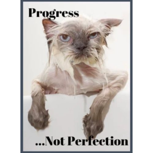 Progress Not Perfection, Cat Recovery Greeting Card- DoingItSober