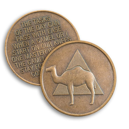 BSP Camel AA Token Bronze Medallion - Doing It Sober