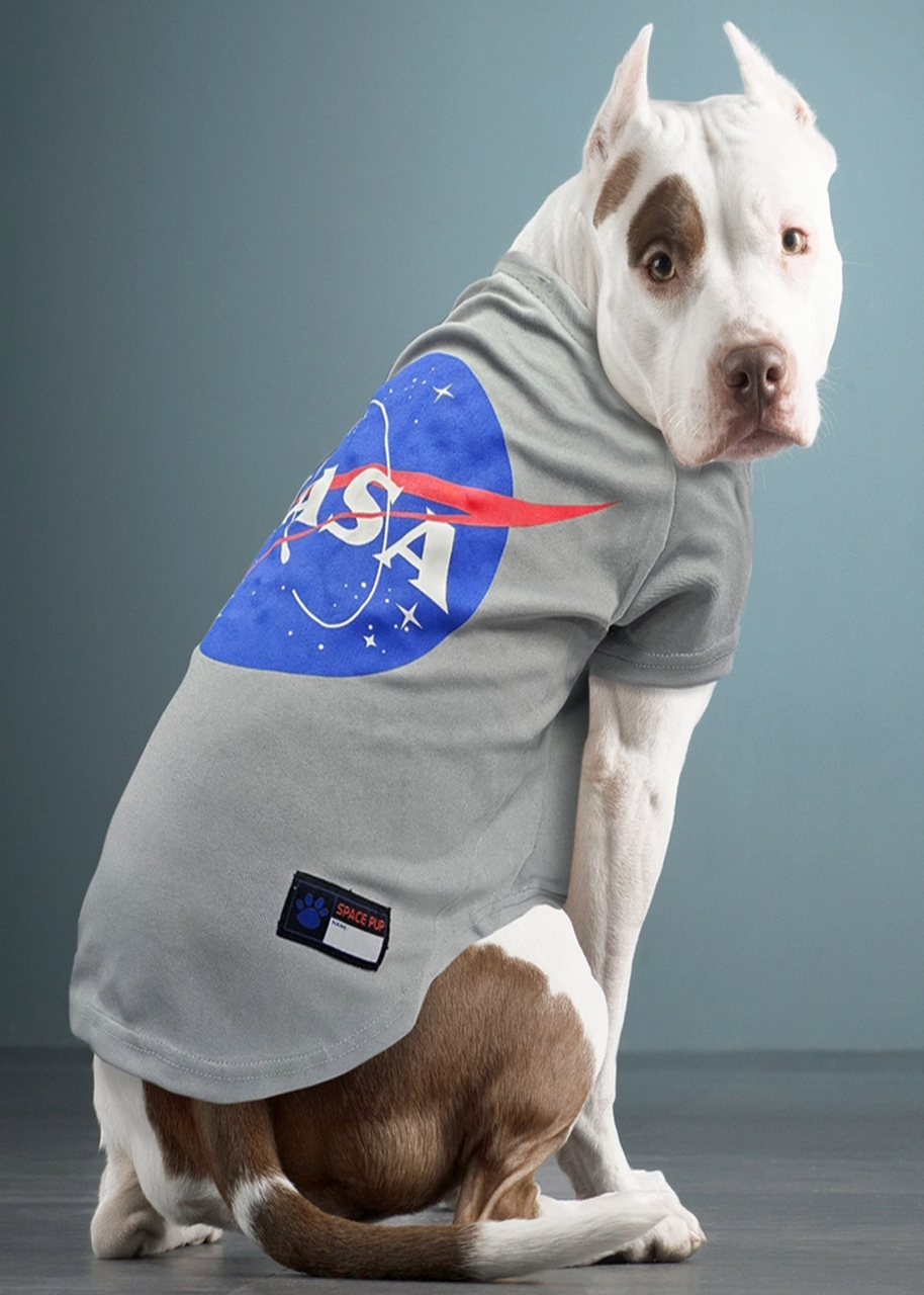 NASA Meatball Logo Pet Jersey