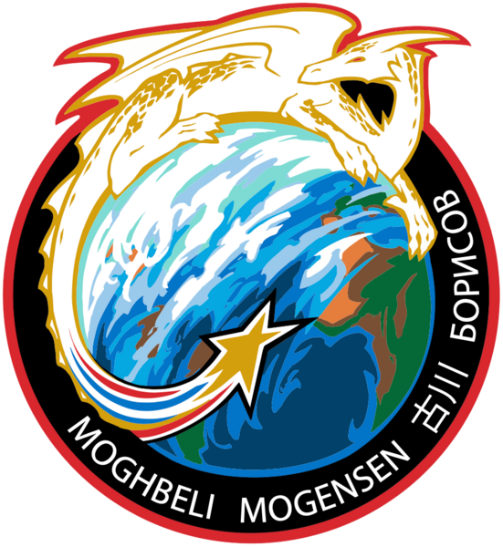 Accessories - Stickers & Magnets - NASA Gear