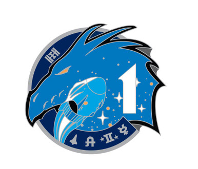 Crew 1 Mission Lapel Pin