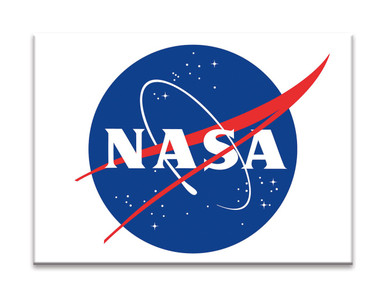 NASA Meatball Logo Flat Magnet