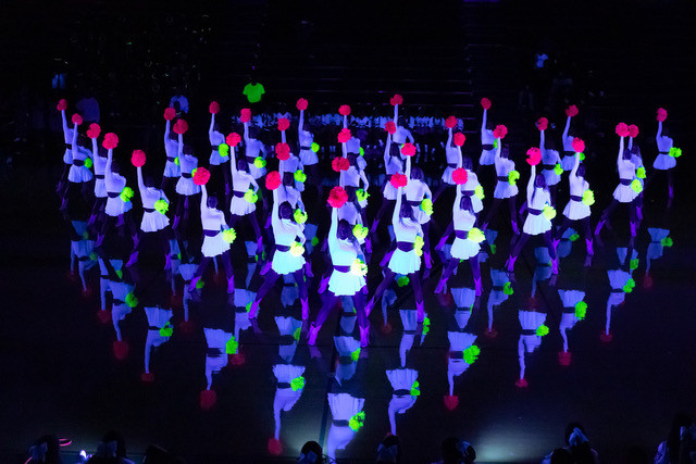Black Light Neon Fluorescent Poms | Cheer Teams | Neon Poms