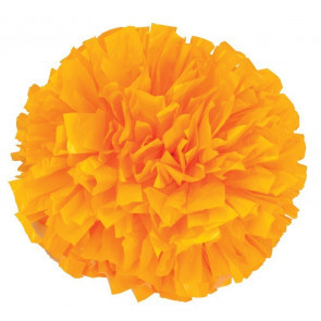 Buy Custom Plastic Poms | Cheerleading Pom Poms - Getpoms
