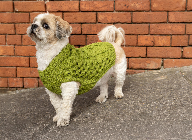 Madra Dog Jacket in Yarn Vibes Aran - Vibes & Scribes