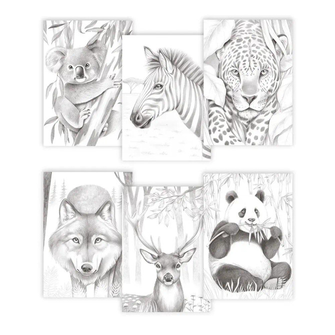 A4 Multi-Technique Pre Drawn Colouring Pad - Animals - Vibes & Scribes