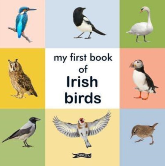My First Book of Irish Birds | Vibes & Scribes, Cork, Ireland