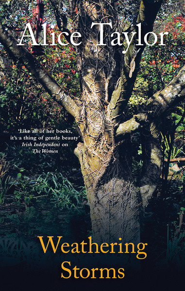 Weathering Storms by Alice Taylor | Buy Online | Vibes & Scribes, Cork