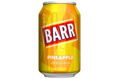 Barr - Sparkling Pineapple Flavour Drink - No Sugar - 330ml - Best ...