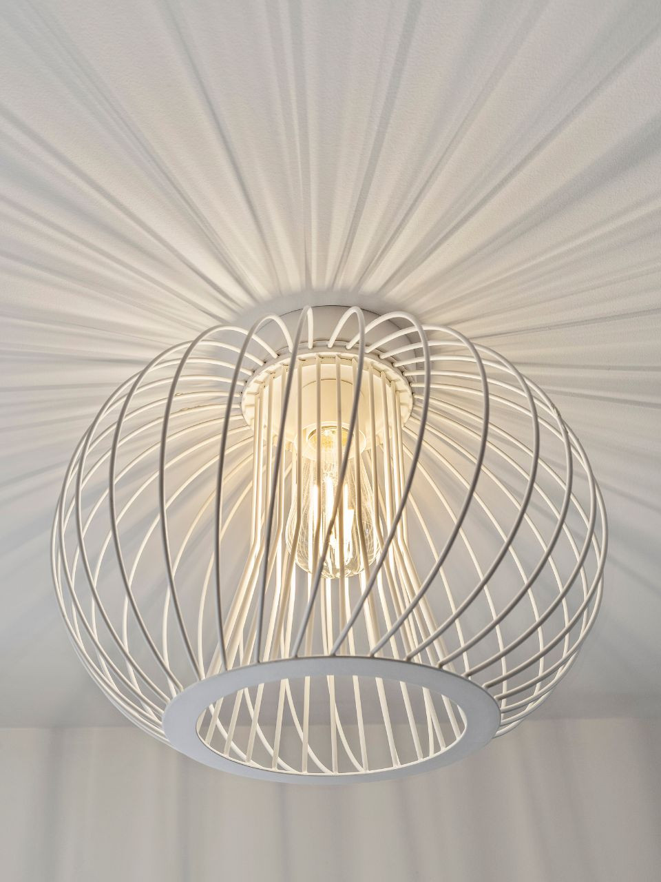 Pheonix 1 Light DIY White | Lighting Direct