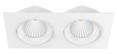 Architectural 2 Light Downlight White | Lighting Direct