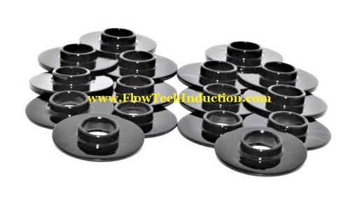 FTI-SR800-T Solid Roller Dual Valve Spring Kit