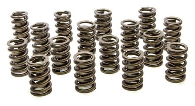 FTI-GEN1-SVS-Kit Single Valve Spring Kit