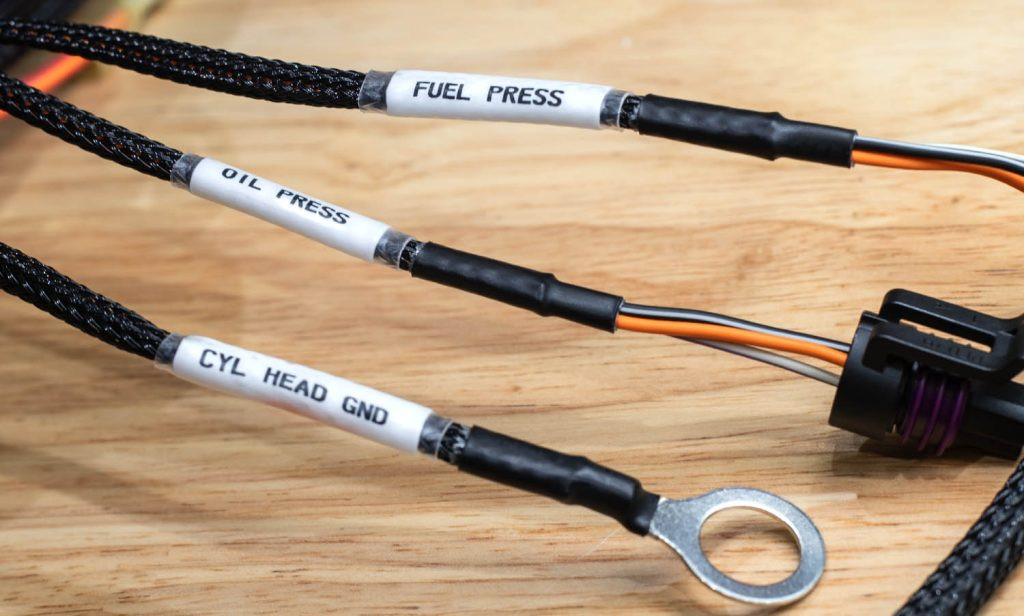 Haltech NEXUS Rebel for LS Gen III | Wiring Specialties