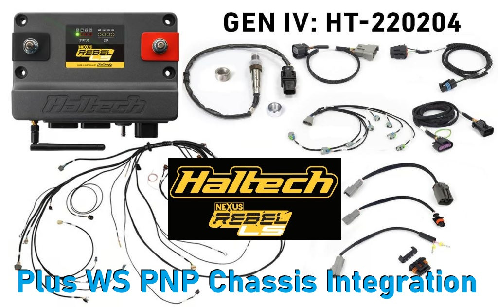 Haltech NEXUS Rebel for LS Gen IV in BMW E46 | Wiring Specialties
