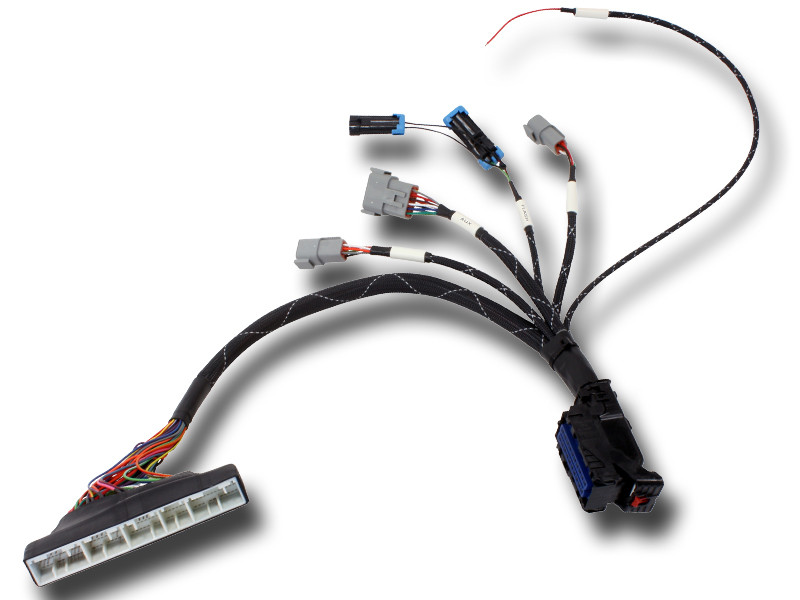 BMW E46 K-Series Wiring Harness | K20 / K24 Swap | Wiring Specialties
