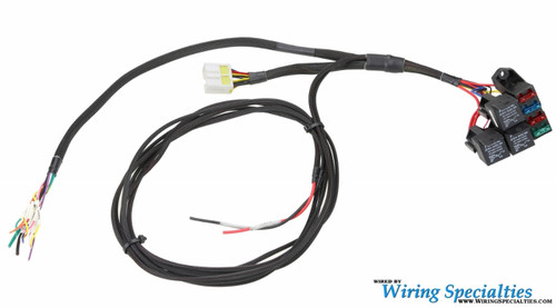 Standalone K20 / K24 Swap Wiring Harness for Link & Haltech ECUs ...