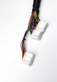 BMW E46 K-Series Wiring Harness | K20 / K24 Swap | Wiring Specialties