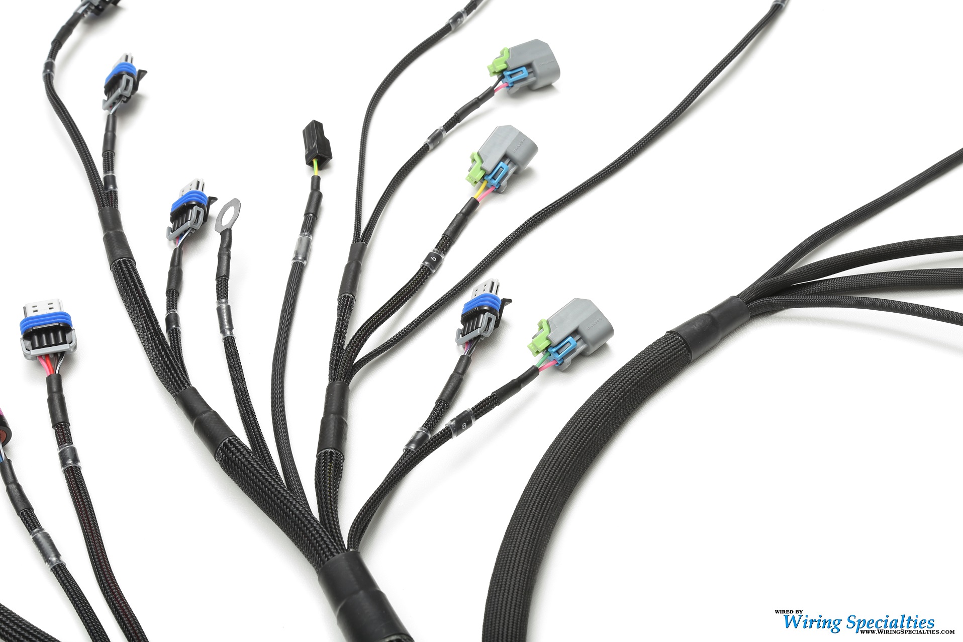 Standalone GM 6.2L L92/L9H/L94 Wiring Harness | Wiring Specialties