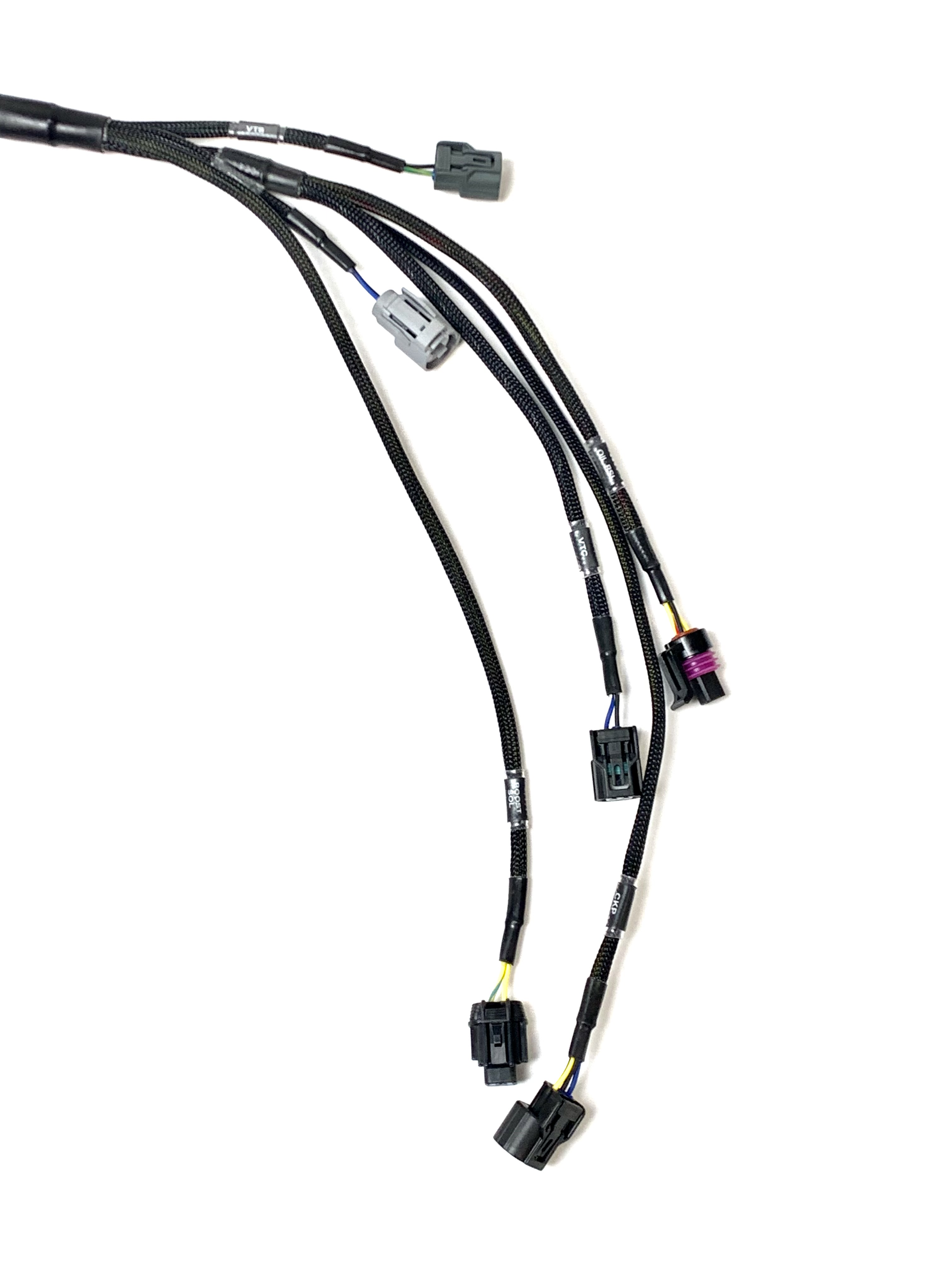 BMW E46 K-Series Wiring Harness | K20 / K24 Swap | Wiring Specialties