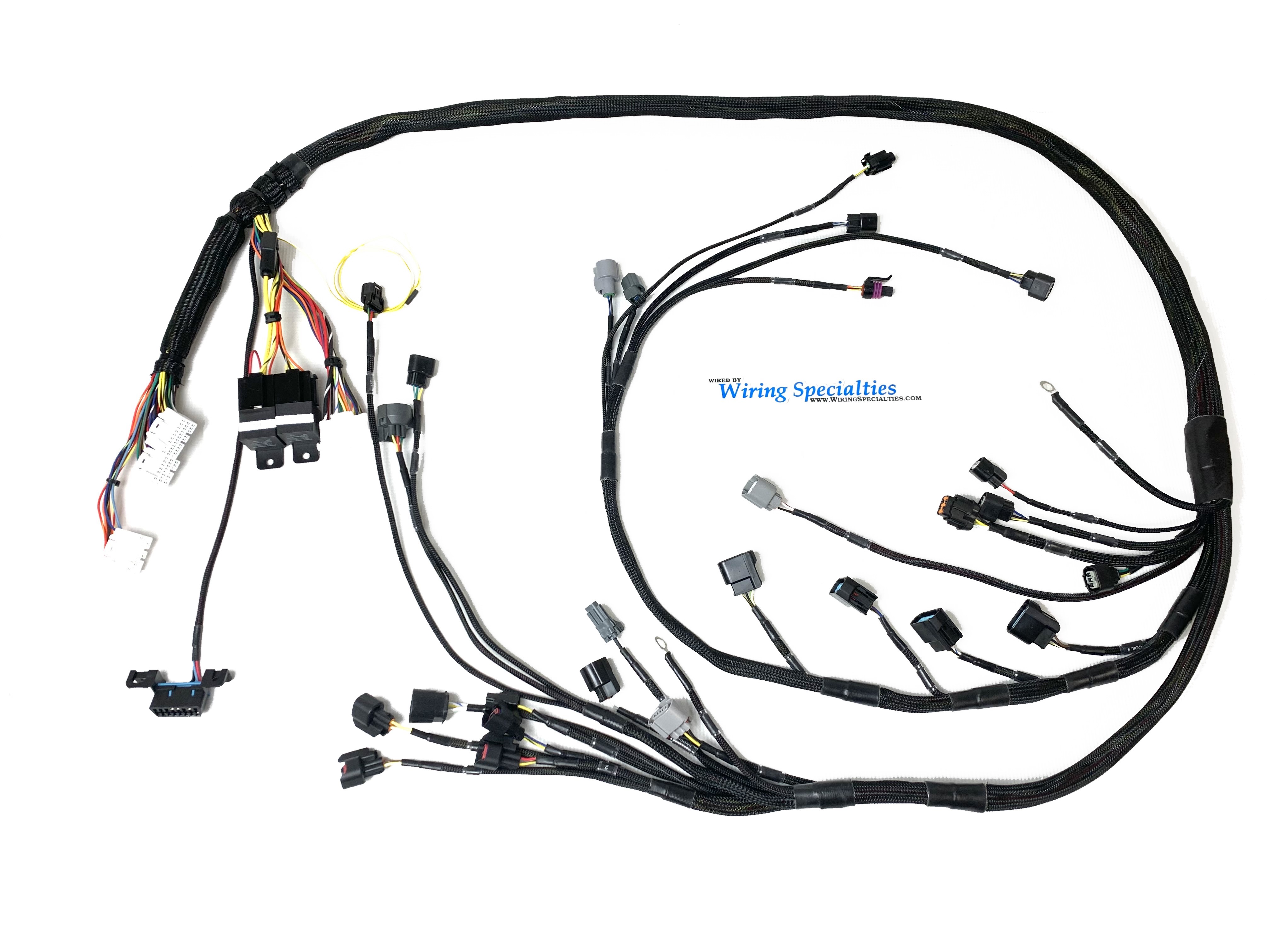 Standalone RWD K20/K24 Wiring Harness | Wiring Specialties