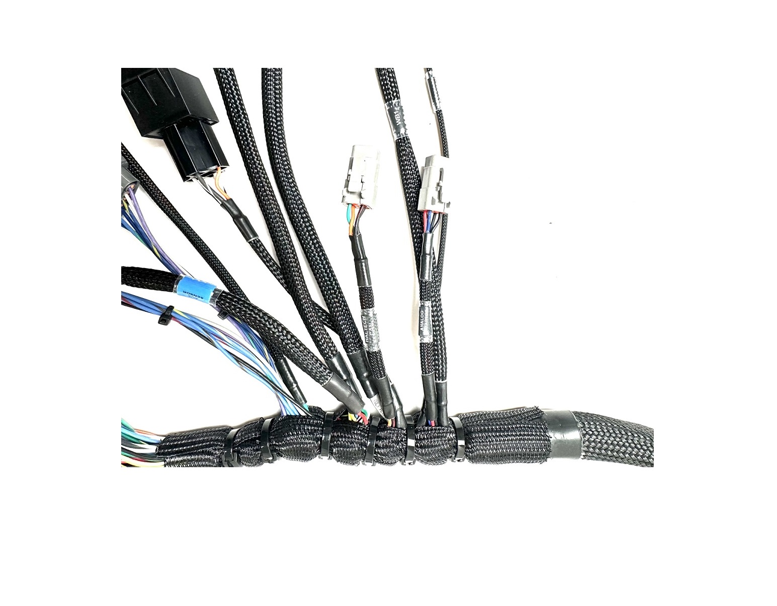 R32 GTR RB26DETT Wiring Harness for Haltech 2500 ECU | Wiring Specialties