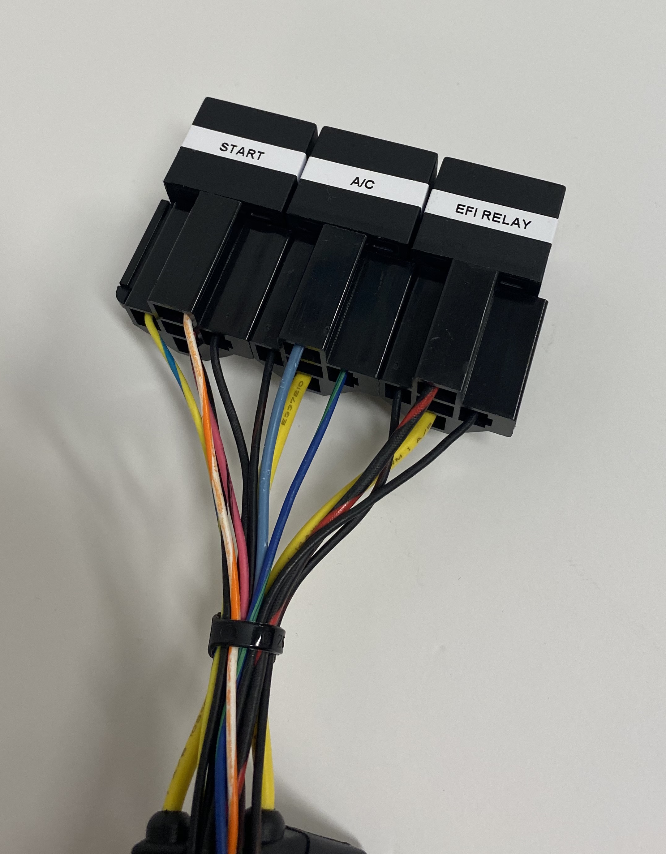 BMW E46 K Series Swap Wiring Harness for Haltech Elite ECUs | | Wiring ...
