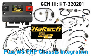 Haltech NEXUS Rebel + LS Gen III Harness Combo for BMW E36 | Wiring ...