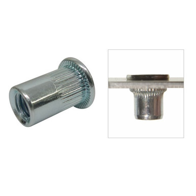 M10 x 19mm Flange Head Knurled Body Rivet Nut 100 - Diamond Industrial ...