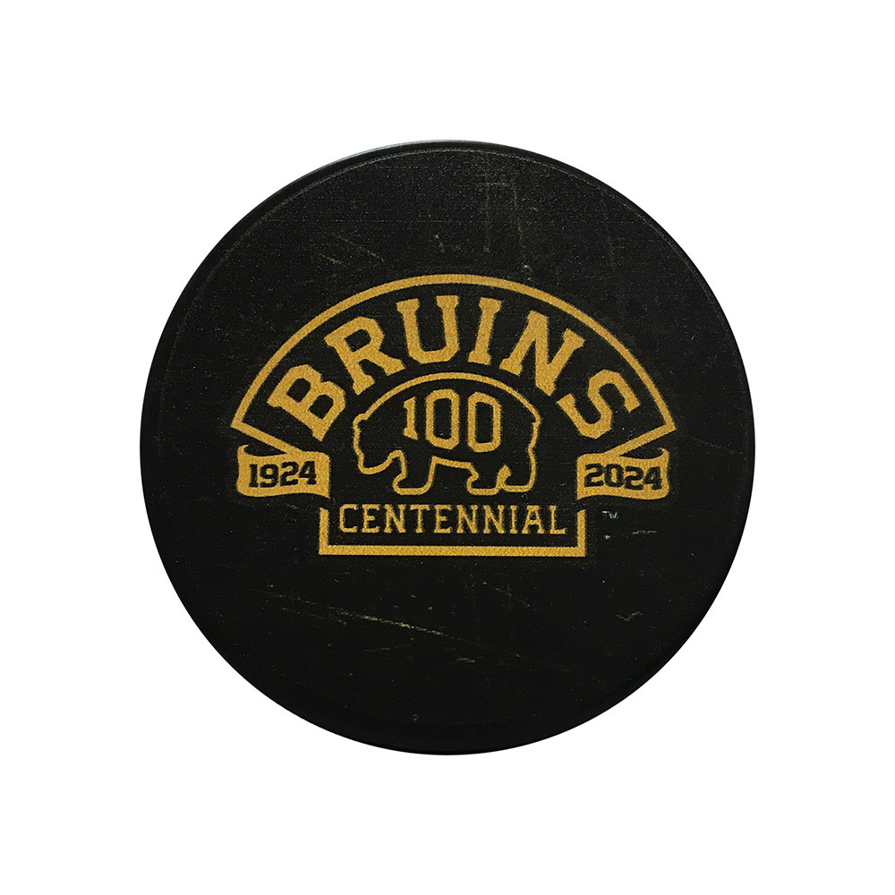 Small Bruins Logo