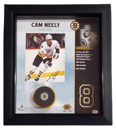 Cam Neely Signed/ Autographed Career Stats Photo 15.5x17.5 Frame