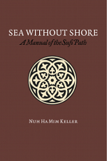Sea Without Shore - Firdous Books Canada