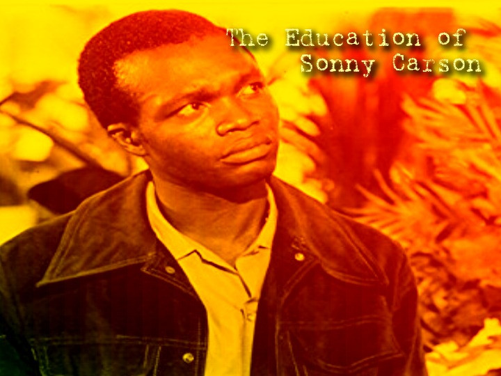 The Education of Sonny Carson 1974 DVD (Cult Classic Gang movie)