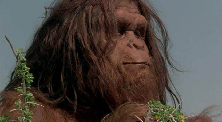 Buy Missing Link 1988 on DVD