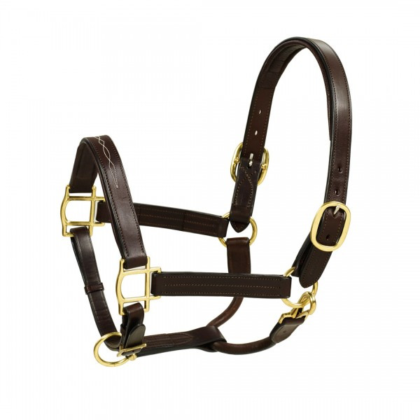 HK Americana Fancy Stitched Self-Padded Leather Halter - The Harness ...