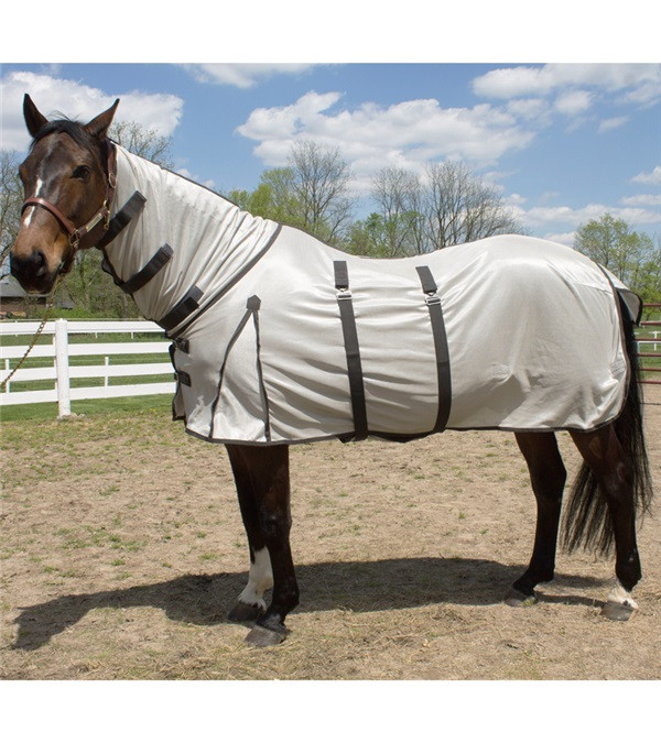 The Harness Shop Online - Offering horse tack, horse equipment, horse ...