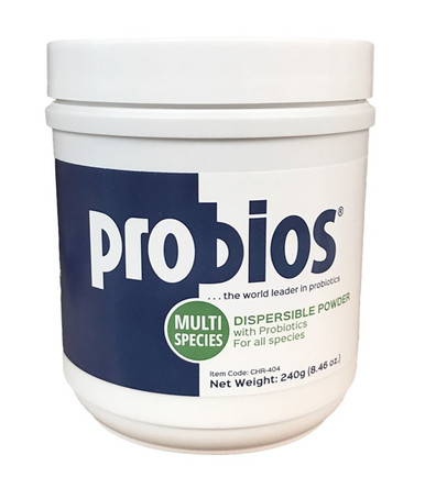 Probios® Powder 240 grams - The Harness Shop Online