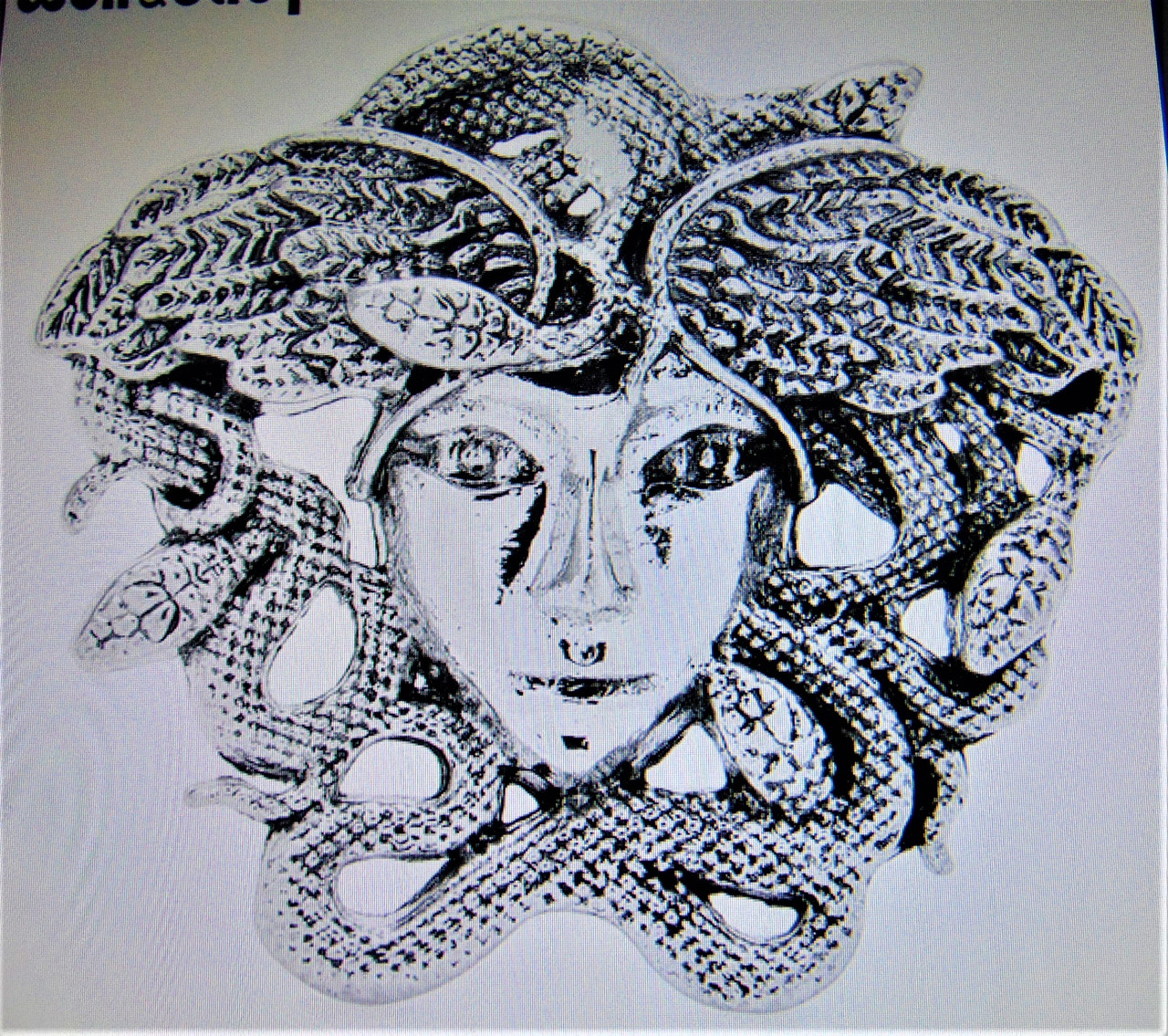 Medusa Snake Pin Greek Head Mask Maiden Brooch DazzleCity