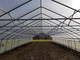 Tufflite 6 mil 4 Year Greenhouse/ High Tunnel Plastic